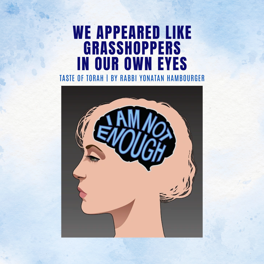 Taste of Torah | www.chabadruralgeorgia.com